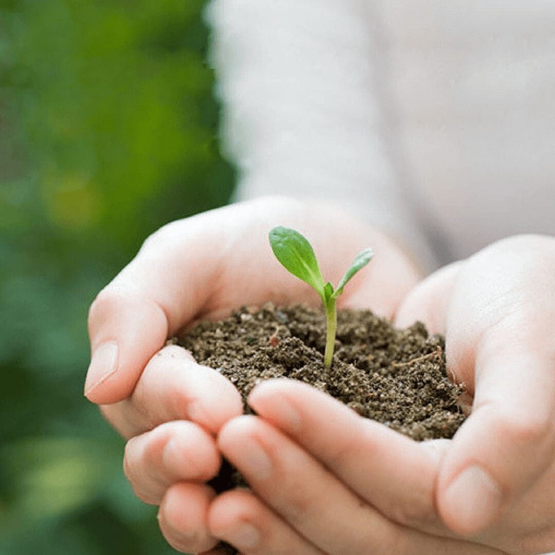 Voluntold to Volunteer | Kansas FFA